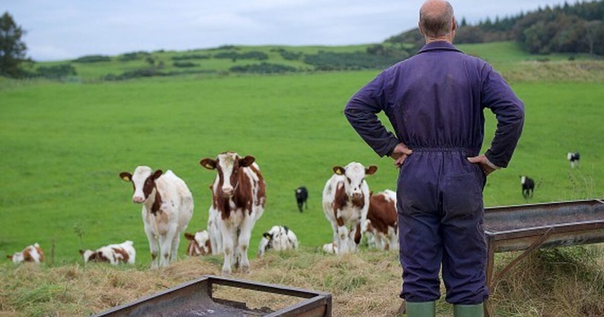 The Ethical Dairy, Scotland — supported by our sankalpa - sankalpa